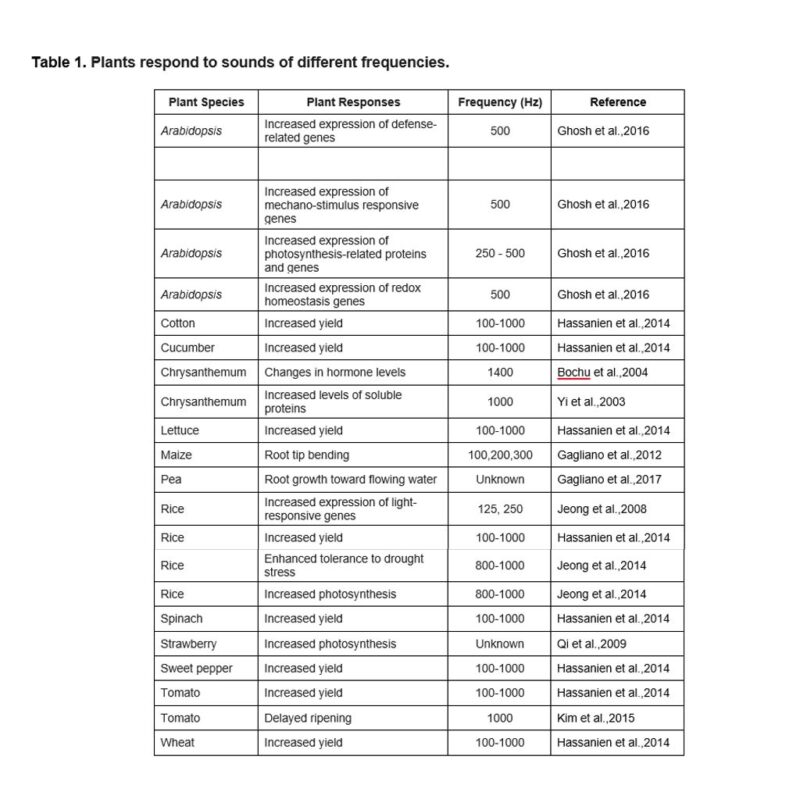 Effects of frequencies on plants - Harvest Harmonics