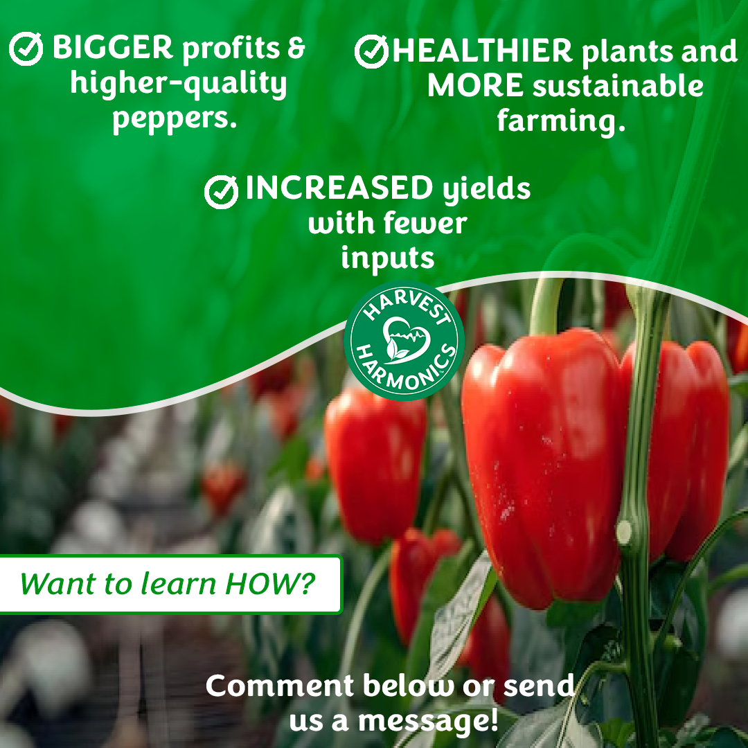 Boost Pepper Yields with Harvest Harmonics